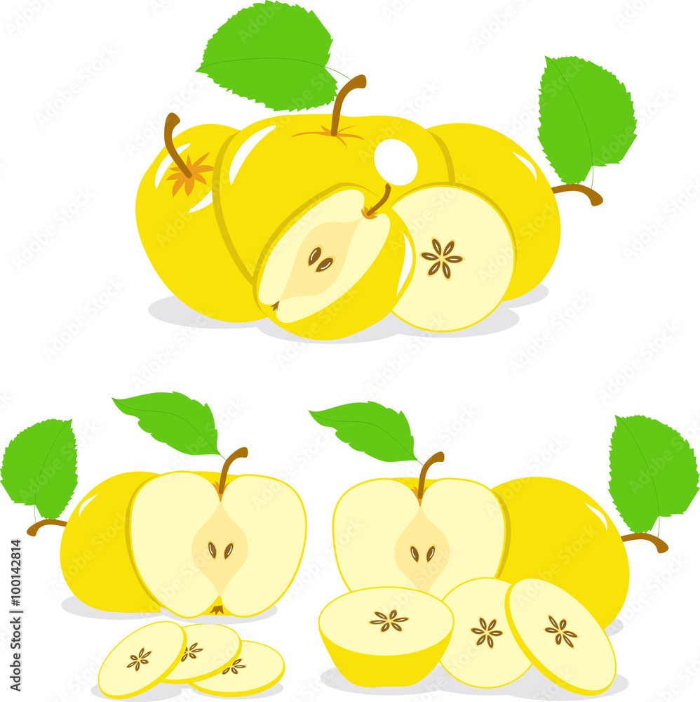 Apple slices, collection of vector illustrations on a transparent ...