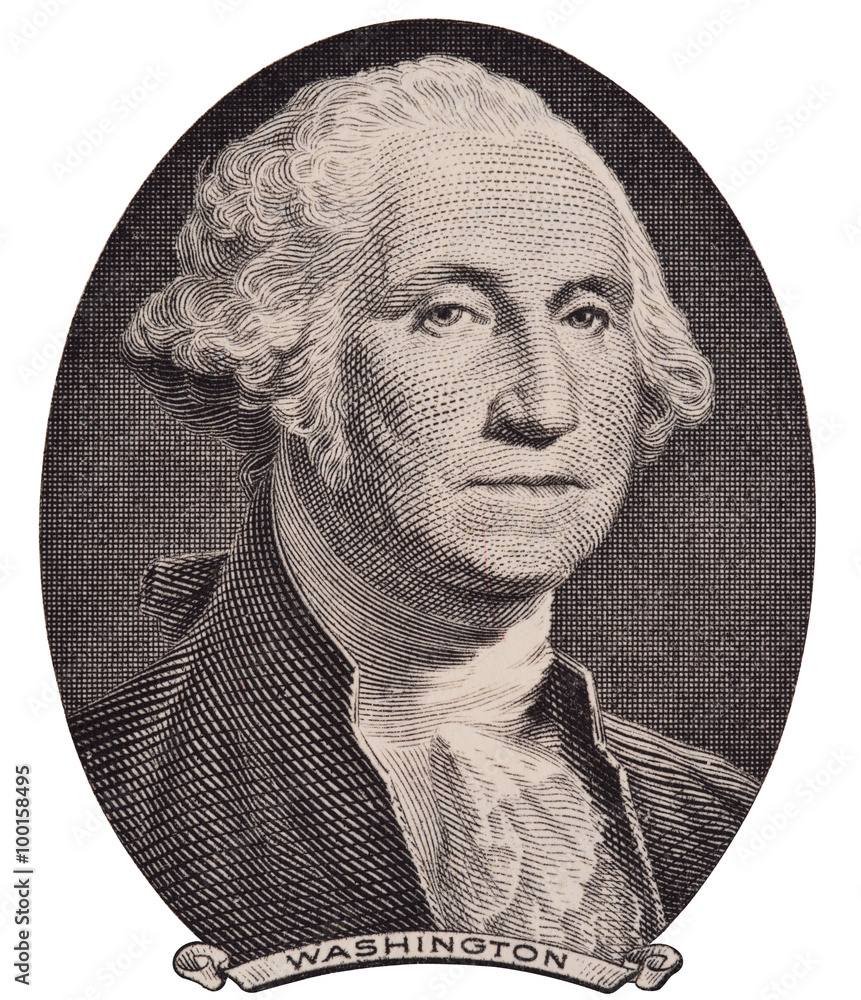 George Washington Dollar Bill Portrait