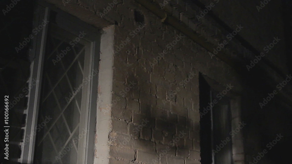 Shadow of serial killer with murder weapon, maniac chopping dead body ...