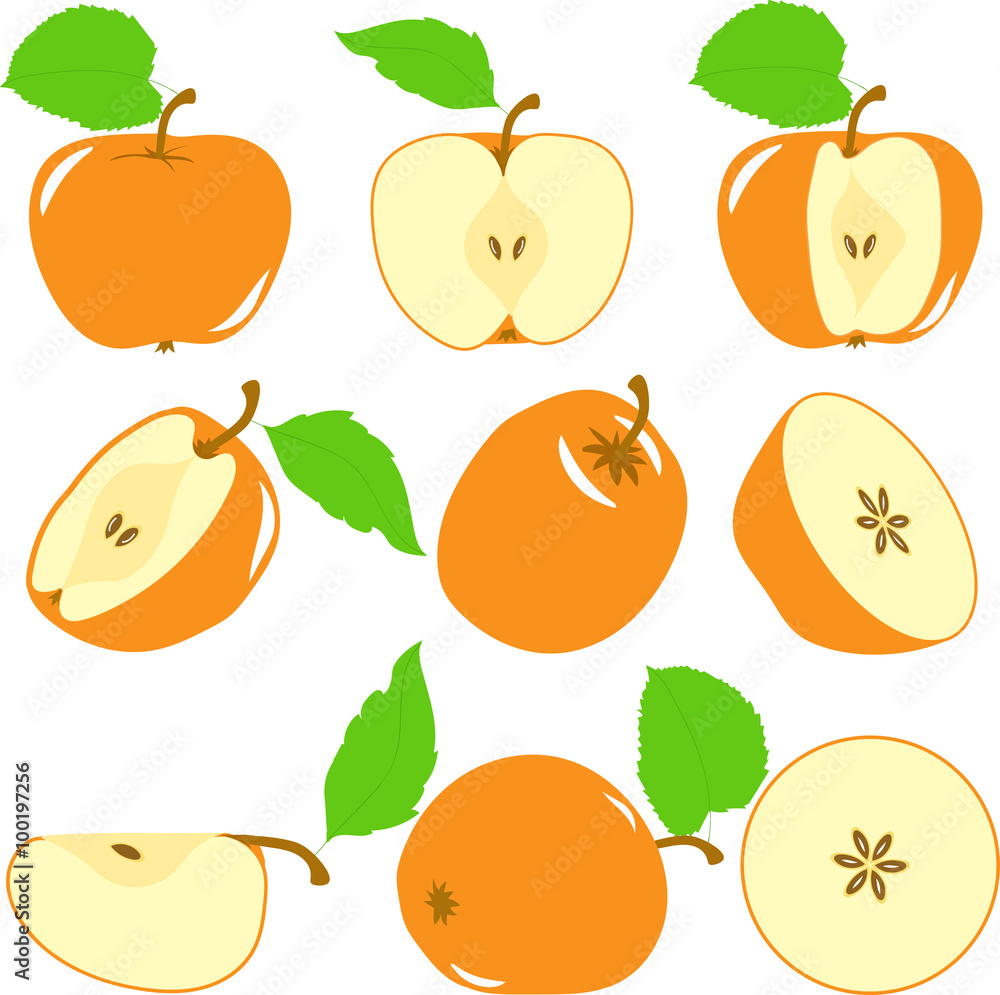 Orange color apples slices, collection of vector illustrations on a ...