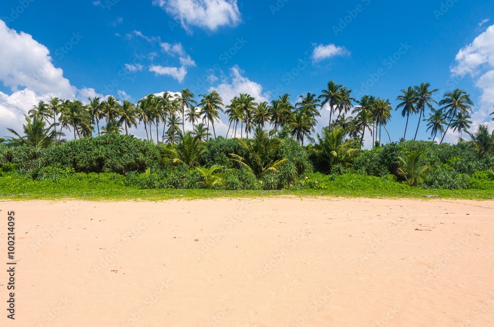 Tropical beach landscape Stock Photo | Adobe Stock