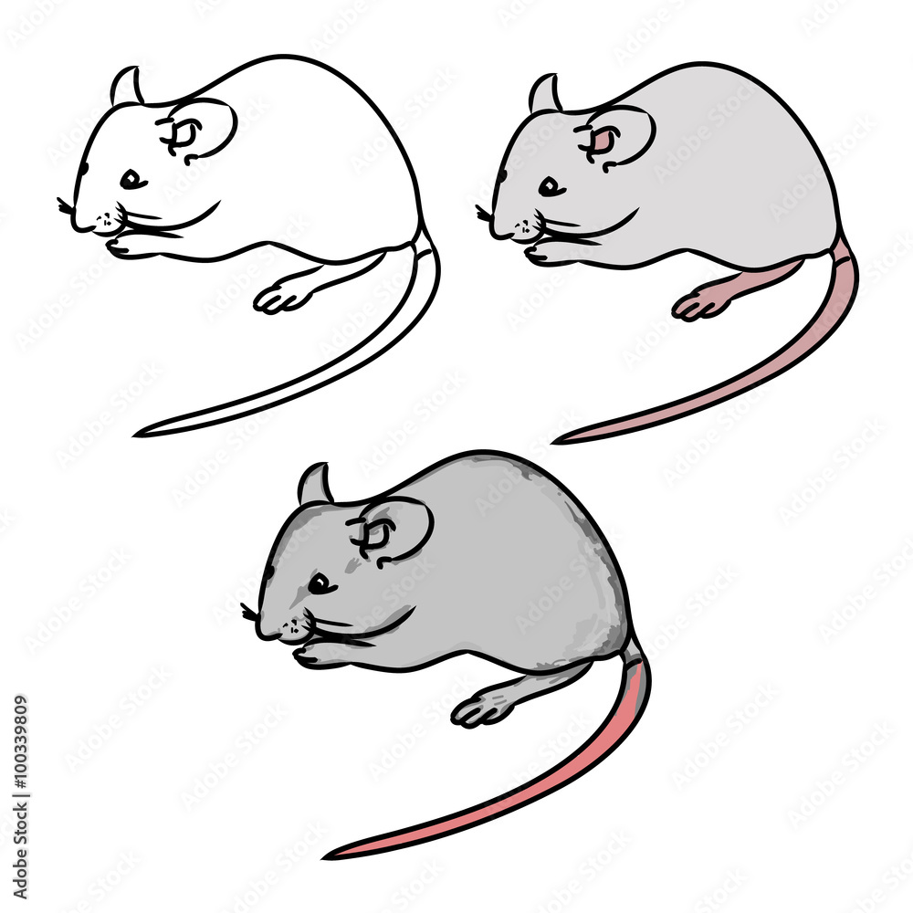 Rat, mouse - sketch, the drawing in color (set 1) Stock Vector | Adobe ...