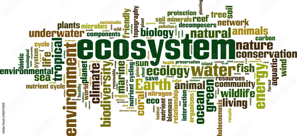 Ecosystem word cloud concept. Vector illustration Stock Vector | Adobe ...