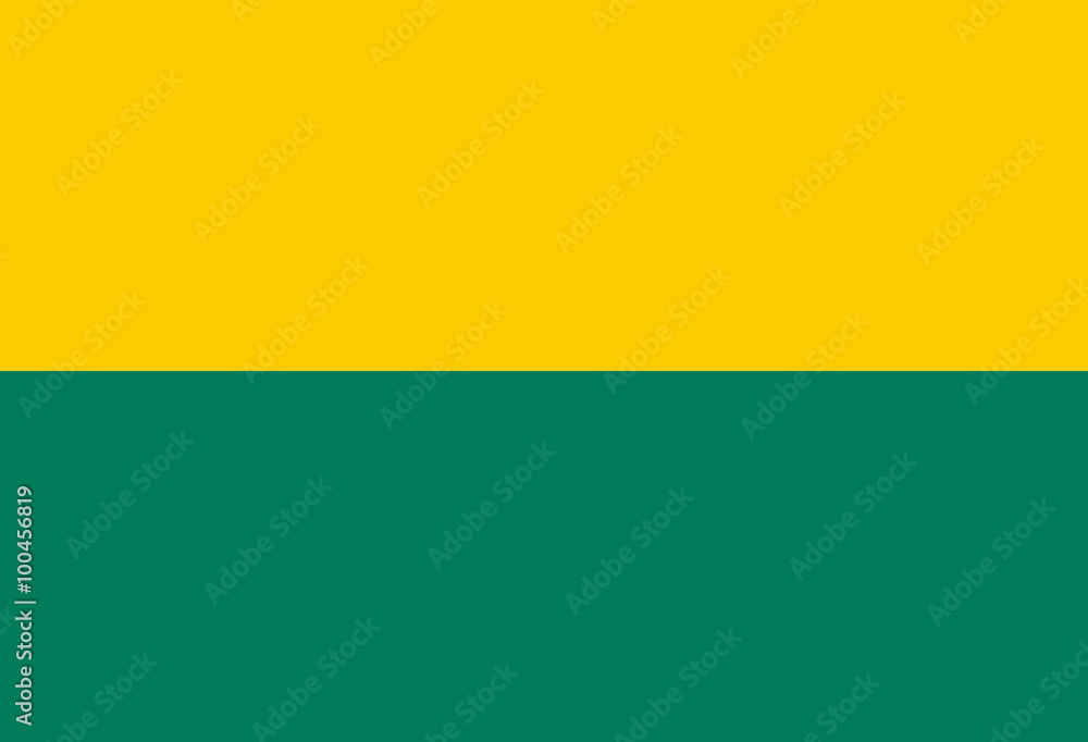 Vlag de gemeente Den Haag Stock Vector | Adobe Stock
