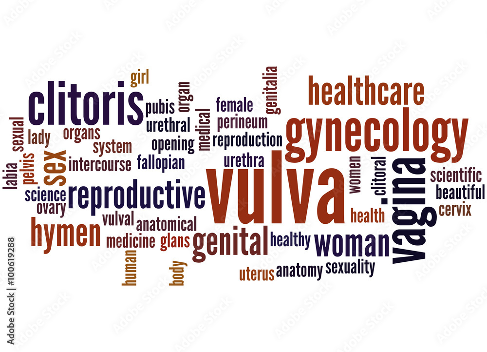 Vulva, word cloud concept Stock Illustration | Adobe Stock