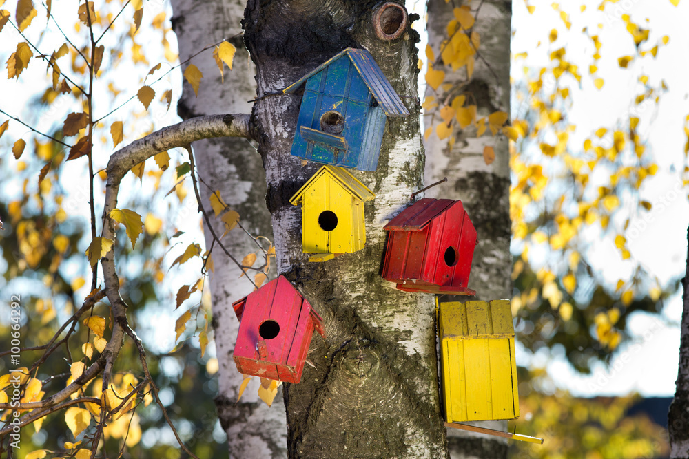 Bird houses on the tree Stock Photo | Adobe Stock