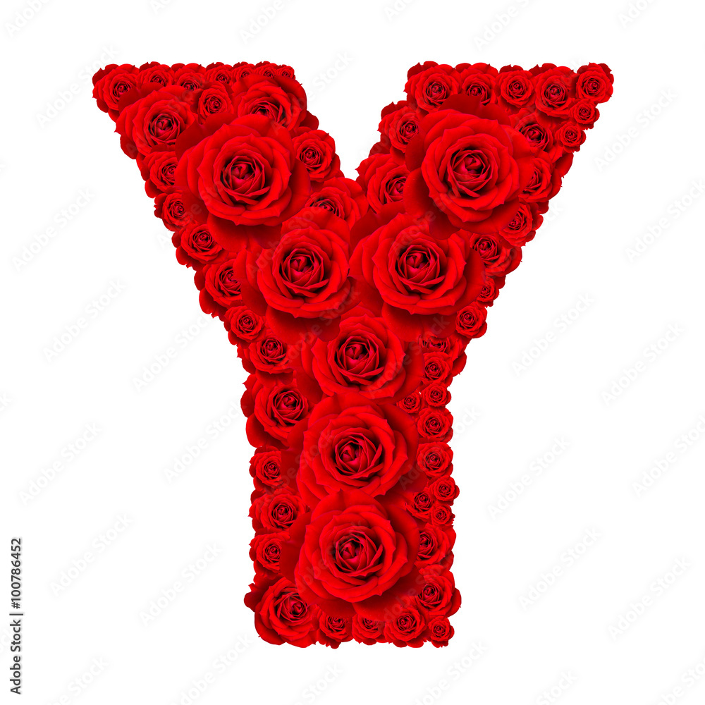 Rose alphabet set - Alphabet capital letter Y made from red rose Stock ...