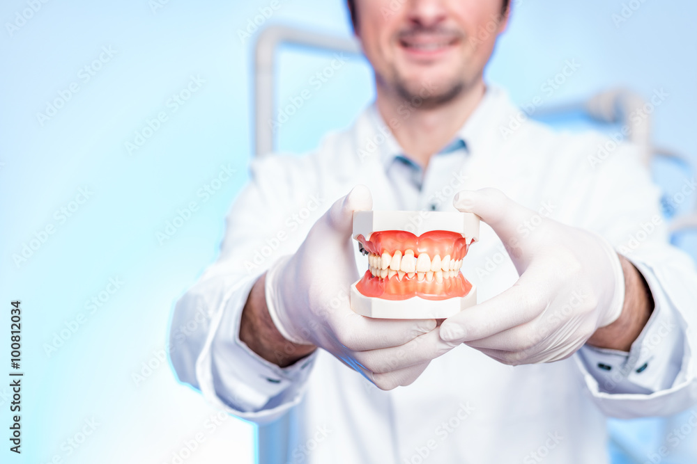 glücklicher zahnarzt präsentiert das gebiss foto de Stock | Adobe Stock