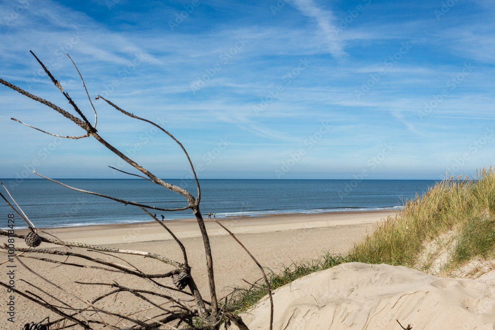 Strand Sondervig Stock Photo | Adobe Stock