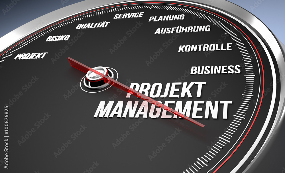 Projektmanagement Stock-Illustration | Adobe Stock