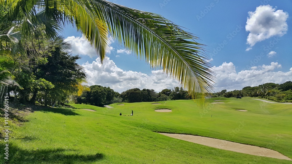 Golf field and tropical nature Stock Photo | Adobe Stock