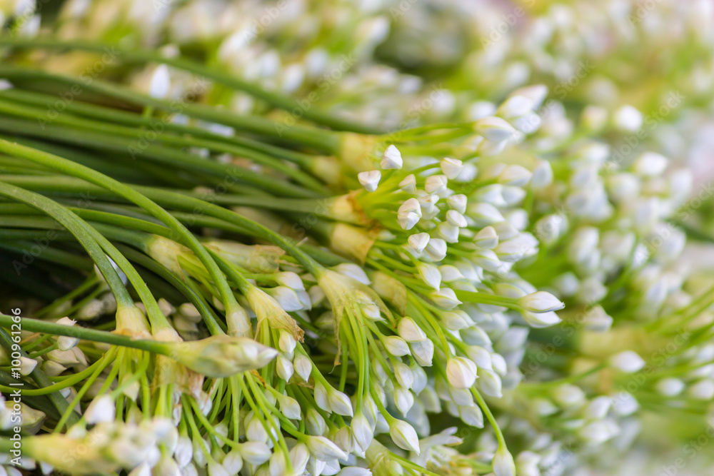 Vegetables, flowers Kuicheai of Thailand Stock Photo | Adobe Stock