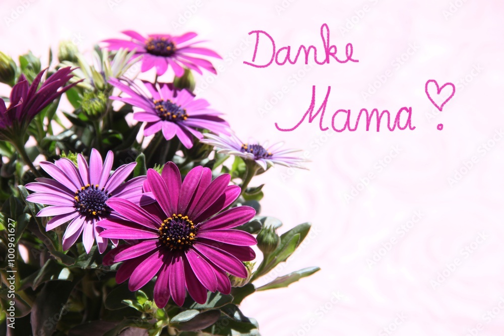 Danke Mama Stock Photo | Adobe Stock