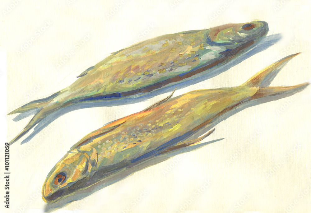 Dried Fish Drawing