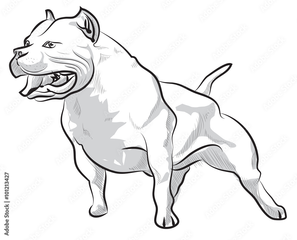 Vector sketch hand drawing illustration pitbull barking Stock Vector ...