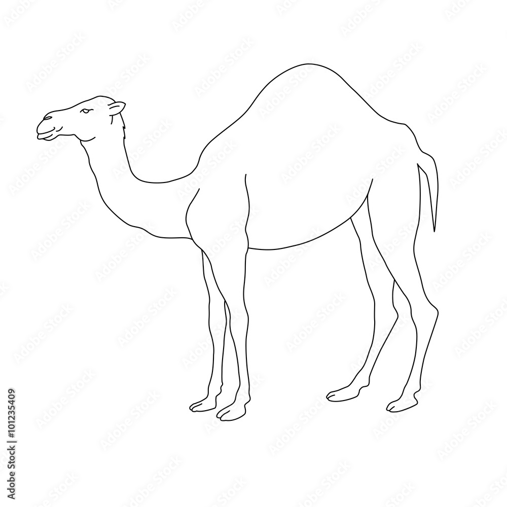 camel silhouette black white vector illustration Stock Vector | Adobe Stock