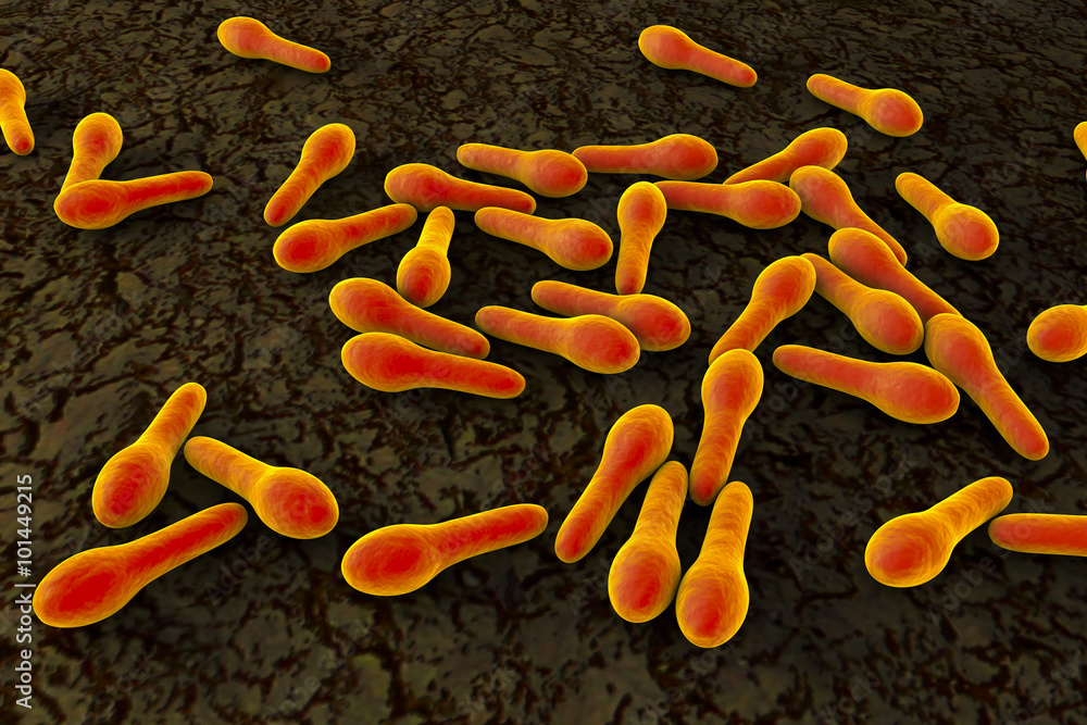 Microscopic illustration of Clostridium tetani, Clostridium perfringes ...