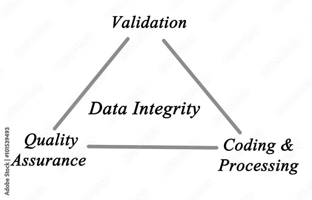 Diagram of Data Integrity Stock Illustration | Adobe Stock