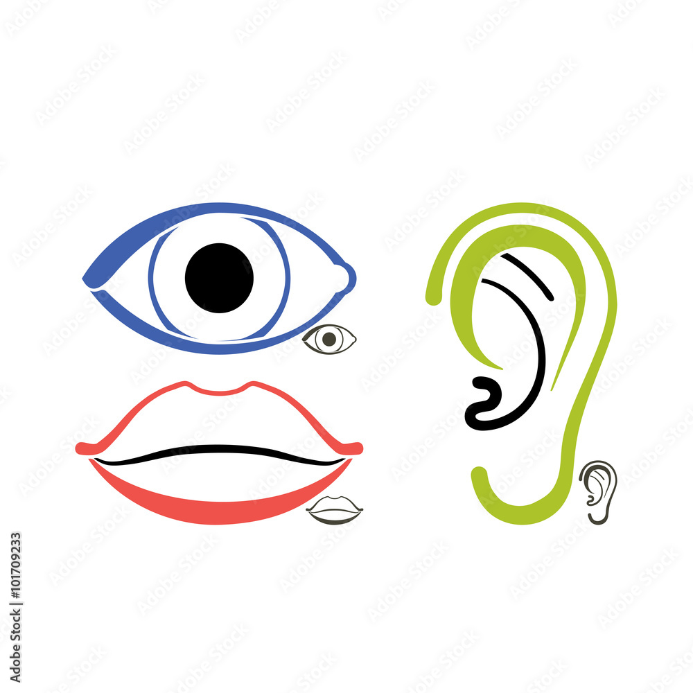 Human anatomy symbols Stock Vector | Adobe Stock