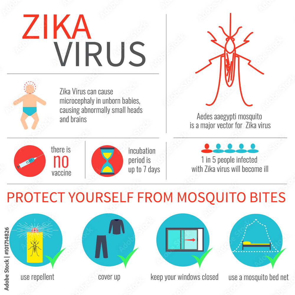 Zika virus infographic elements - prevention, transmission, vaccine ...