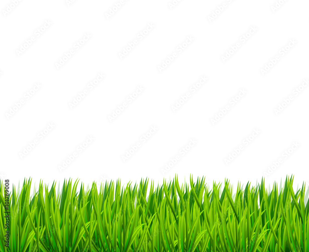 Green grass banner Stock Vector | Adobe Stock