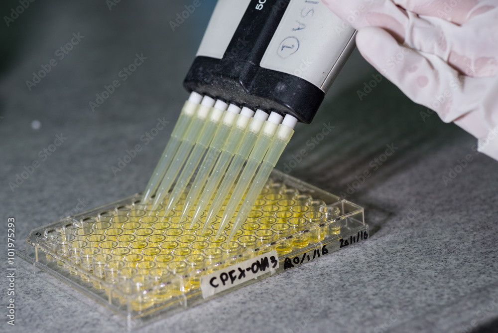 96 well plate for microbiological laboratory Stock Photo | Adobe Stock