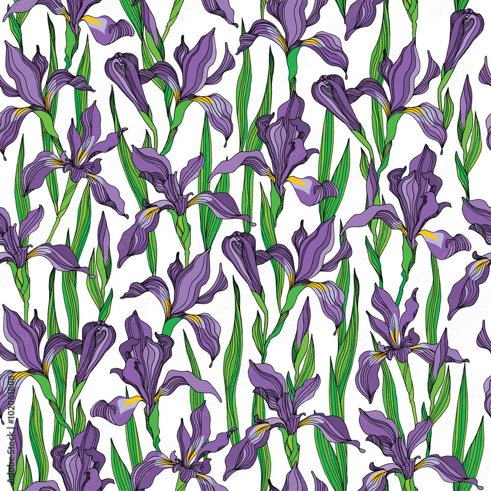 Vector seamless Iris flower pattern Stock Vector | Adobe Stock