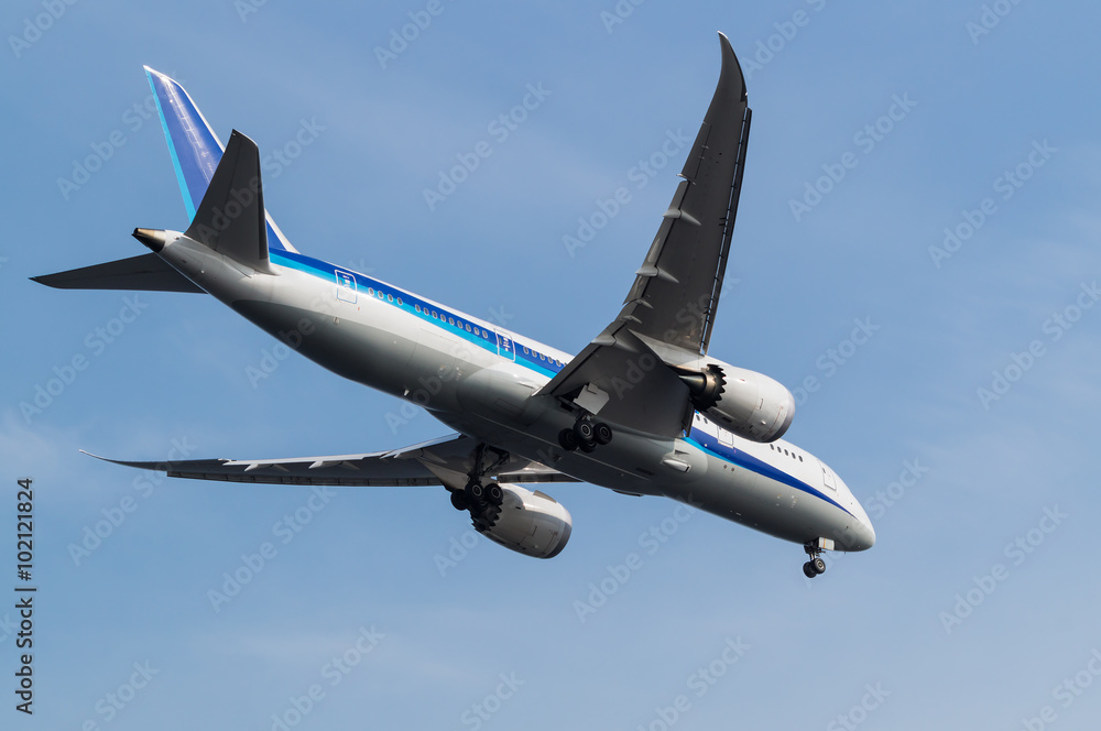Boeing 787-8 Stock Photo | Adobe Stock