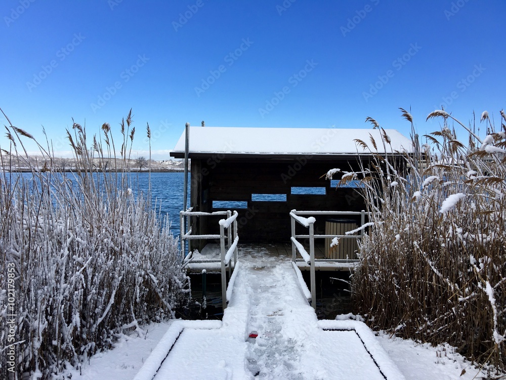 BIRD OBSERVATORY Stock Photo | Adobe Stock