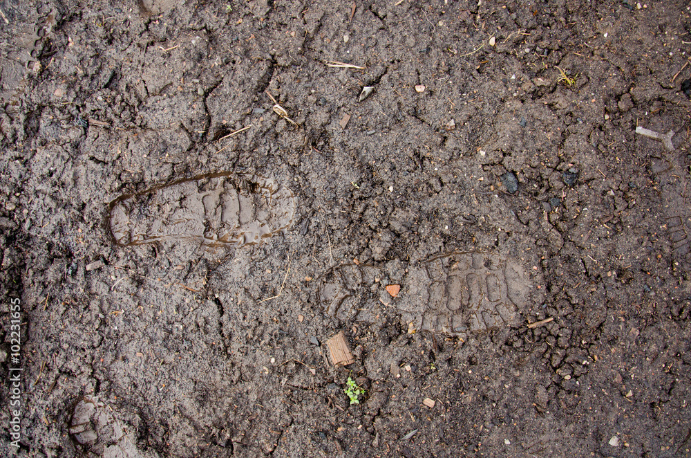 Footprint in the dirt. Brown road dirt with footprints. Background ...