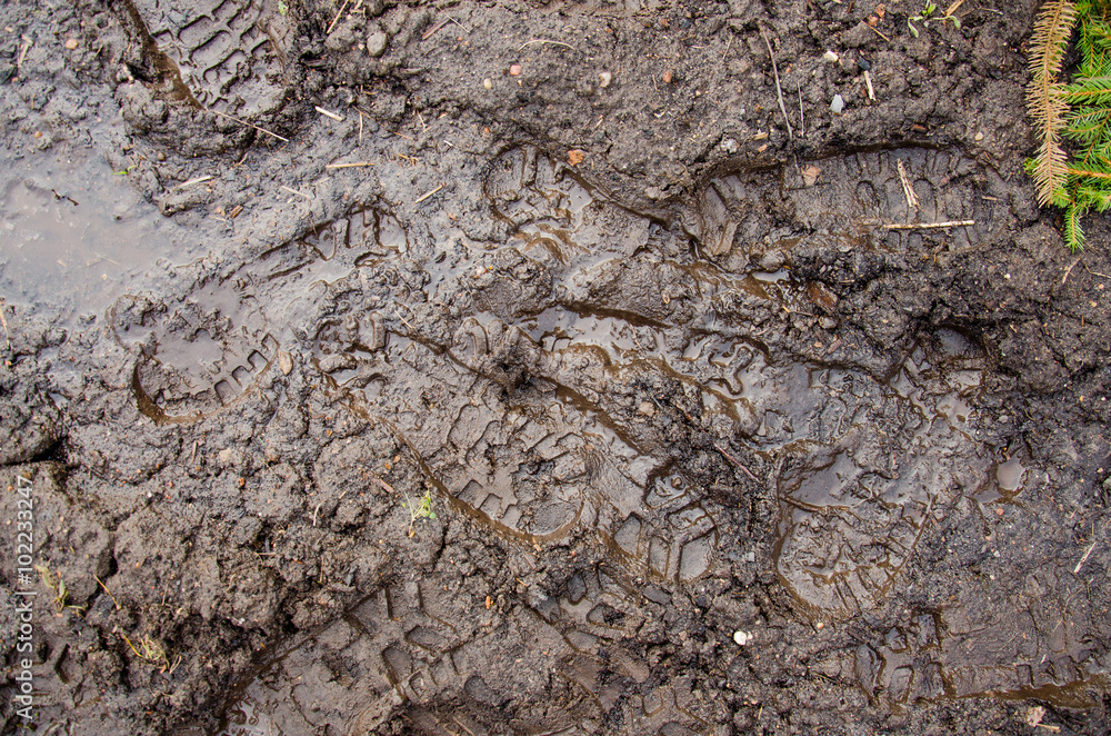 Footprint in the dirt. Brown road dirt with footprints. Background ...