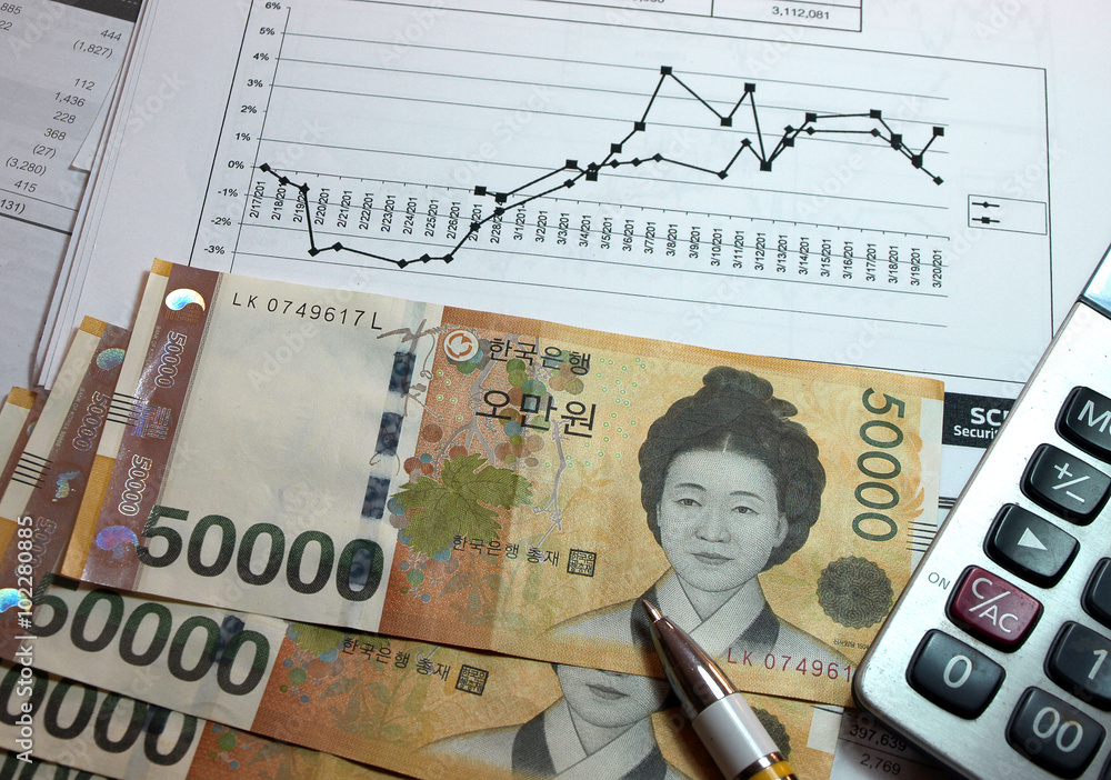 Financial accounting calculate and graph analysis with korean money ...