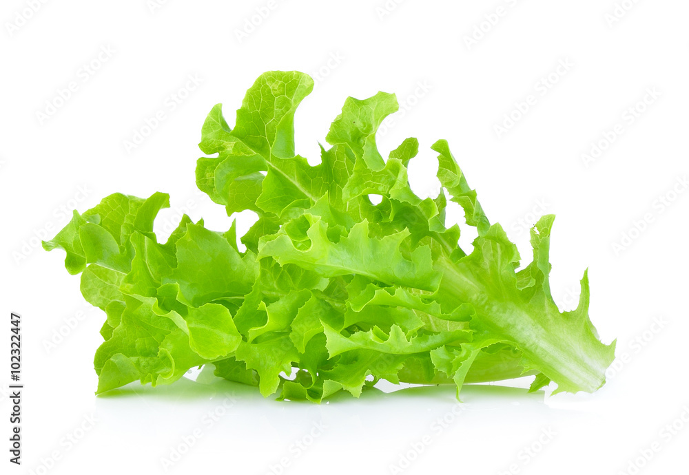 Fresh green lettuce on white background Stock Photo | Adobe Stock
