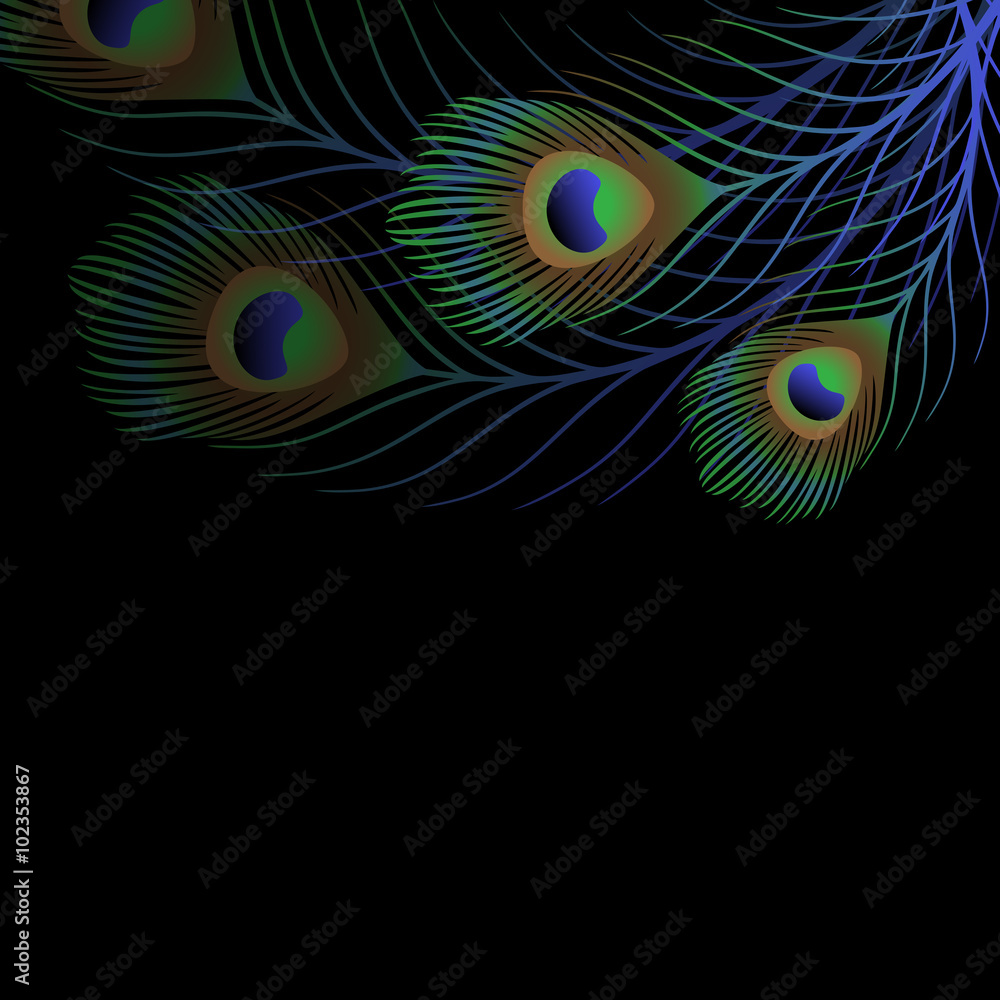 Peacock Feathers Background Vector