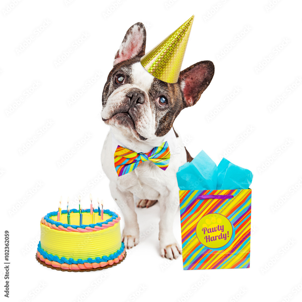 French Bulldog Happy Birthday