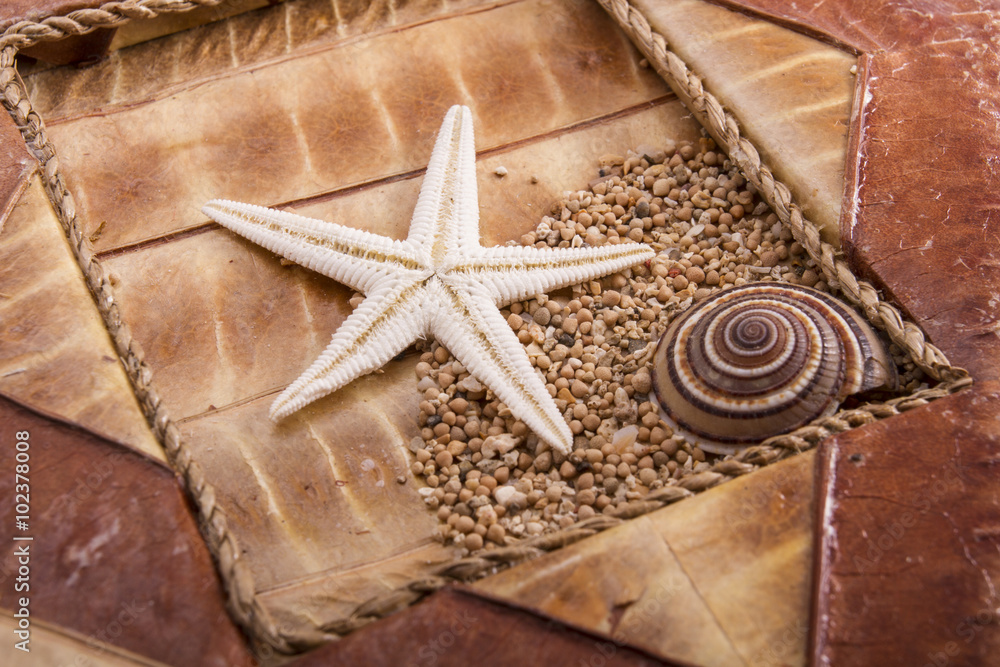 Sea star texture with a snail part on a brown foliar frame backg Stock ...