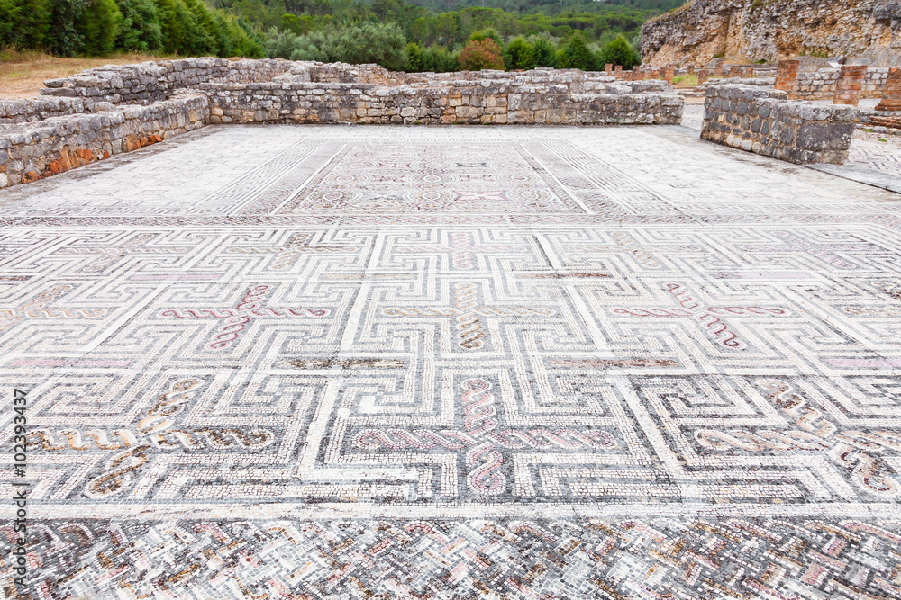 Complex and elaborate Roman tessera mosaic pavement in the House of the ...