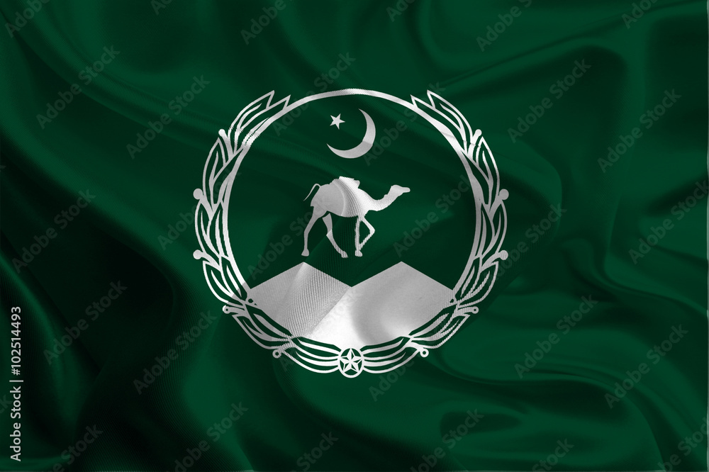 Flag of Balochistan province, Pakistan Stock Illustration | Adobe Stock