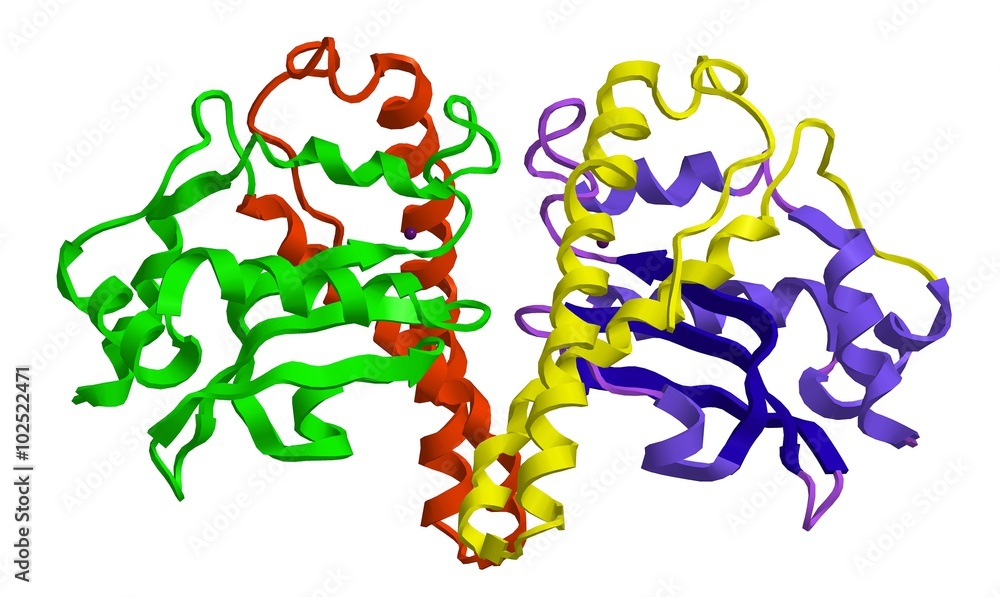Molecular structure of Superoxide dismutase Stock Illustration | Adobe ...