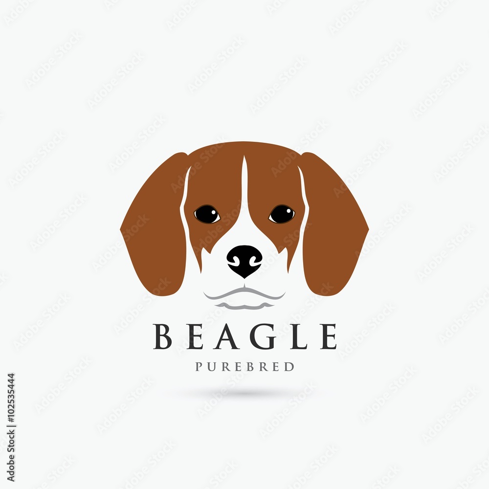 Beagle dog Stock Vector | Adobe Stock