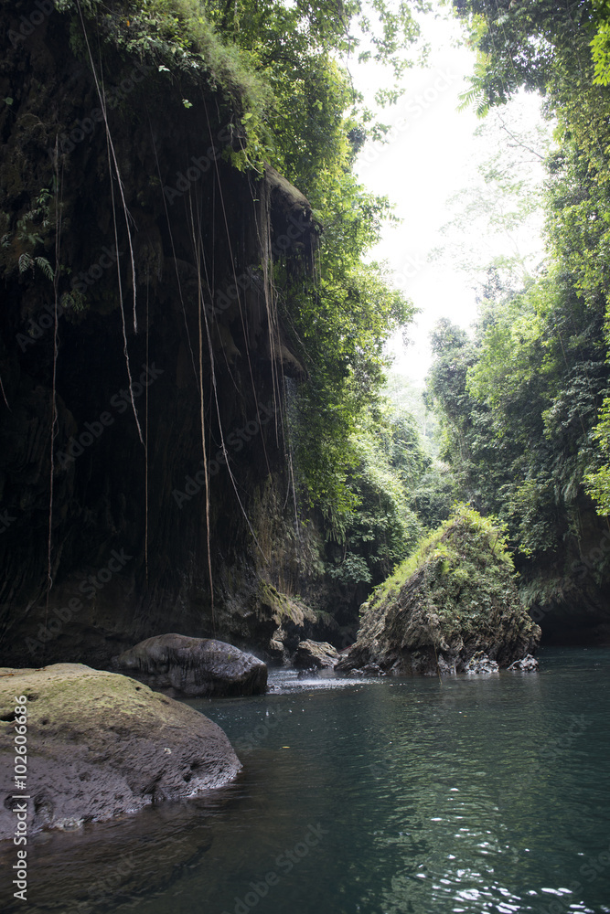 Green Canyon, río en un cañón con mucha vegetación, rocas y grutas ...