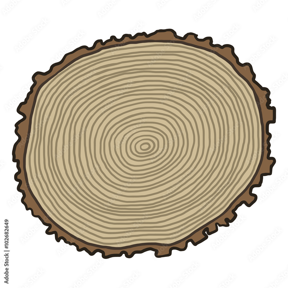 annual ring / cartoon vector and illustration, hand drawn style ...
