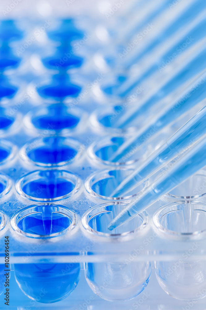Adding samples to a 96 well plate using a multi-channel pipette. Stock ...