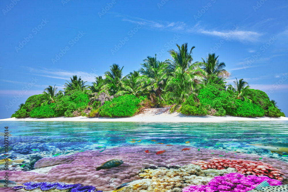 Tropical island and the underwater world in the Maldives. Thoddo Stock ...