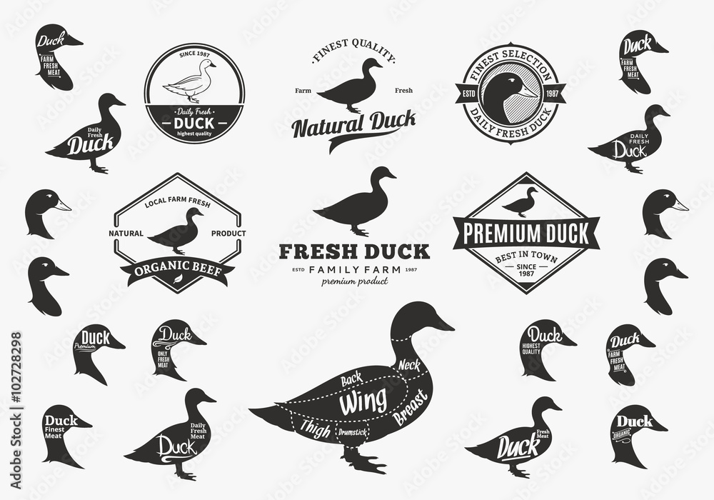 Vector Duck Logo, Icons, Charts and Design Elements Stock Vector ...