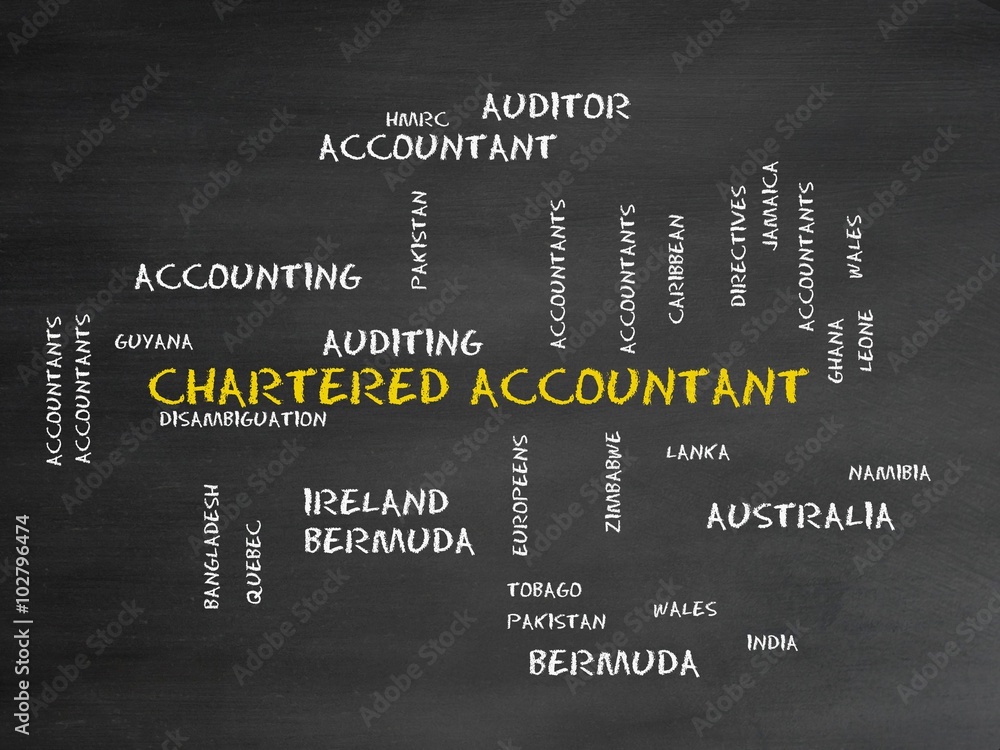 Chartered Accountant Stock Illustration | Adobe Stock