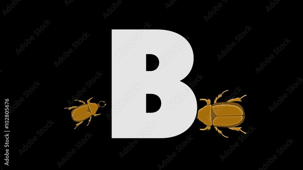 Letter B and Beetle (background) Animated animal alphabet. HD footage ...