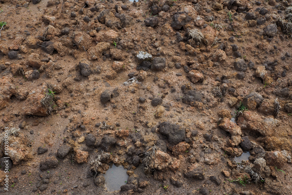 wet soil texture Stock Photo | Adobe Stock