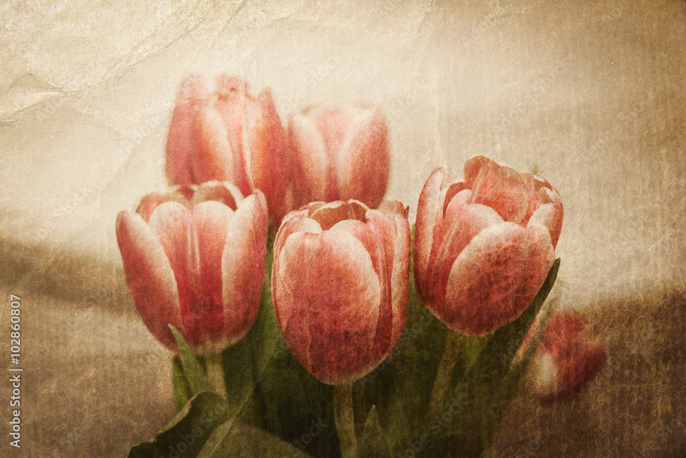 vintage tulips Stock Photo | Adobe Stock