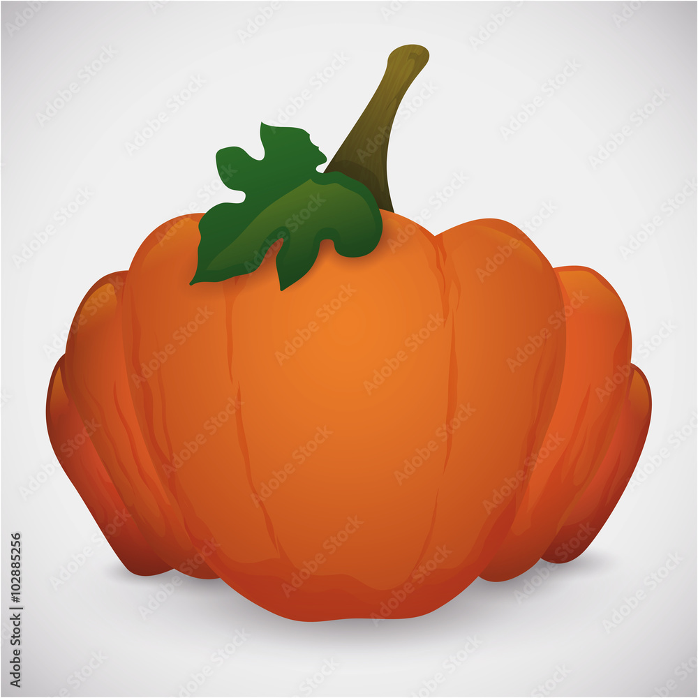 Big Pumpkin with Leaf and Stem Isolated, Vector Illustration Stock ...